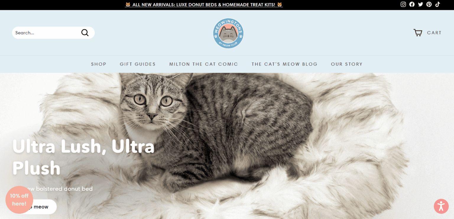 10 Pet Niche Dropshipping Store & Product Examples in 2025!