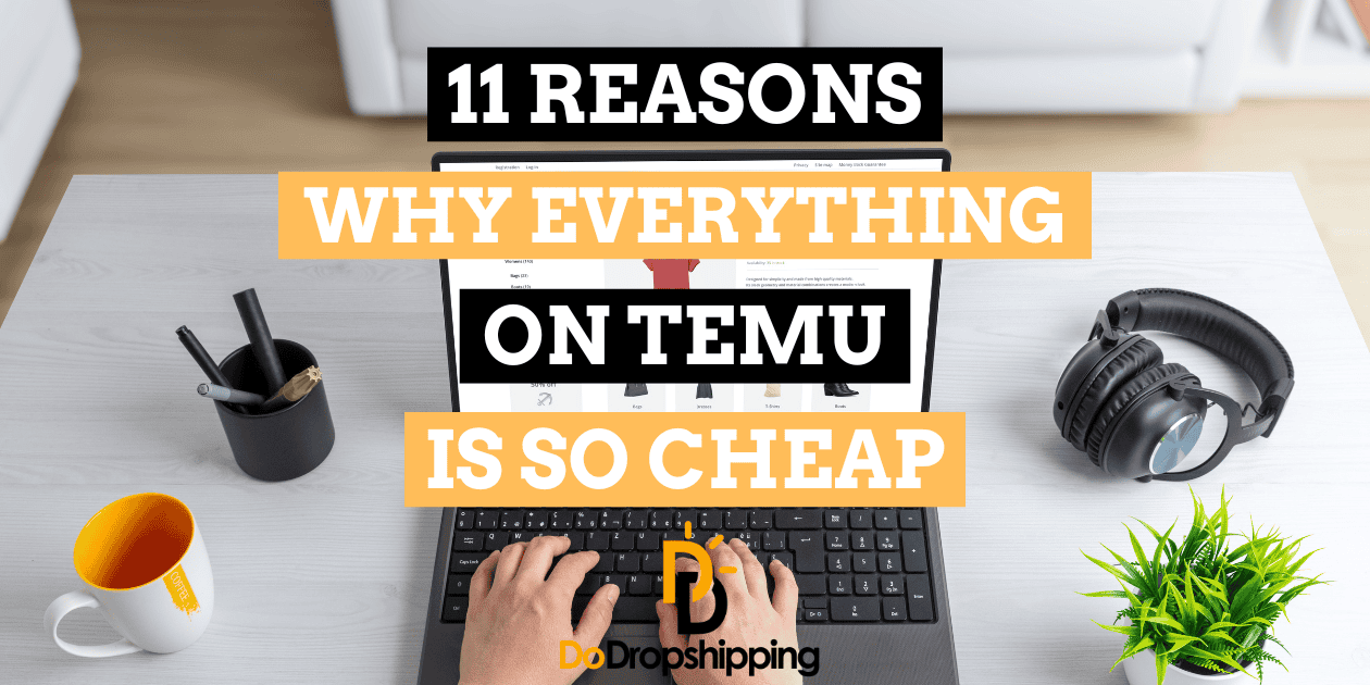 11 Real Reasons Why Everything on Temu Is So Cheap (2026)