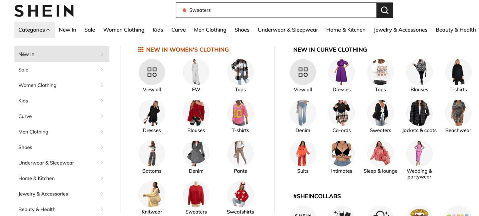 Temu vs. Shein: Which One for Dropshipping in 2025?